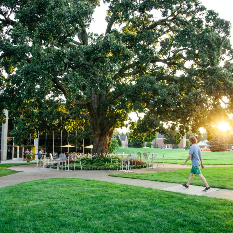 Health & Exercise Science - Spring Arbor University : Spring Arbor ...