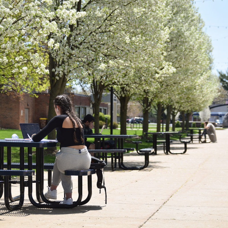 About - Spring Arbor University : Spring Arbor University